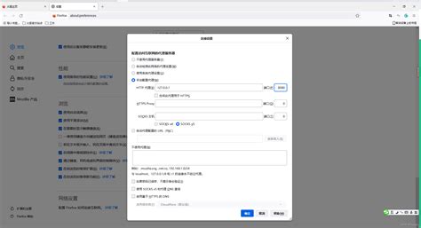 owaspzap使用（中文） owasp zap汉化 csdn博客