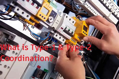 What Is Type 1 And Type 2 Coordination