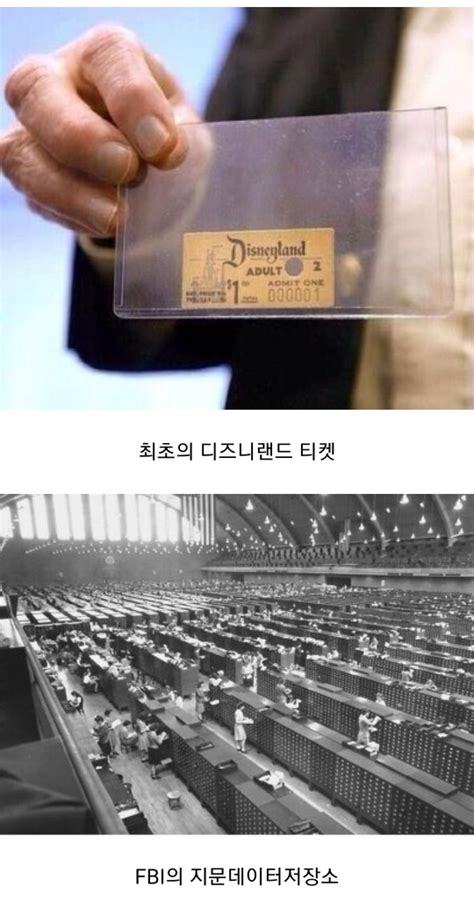 흥미로운 사진들 모음 에누리 쇼핑지식 자유게시판