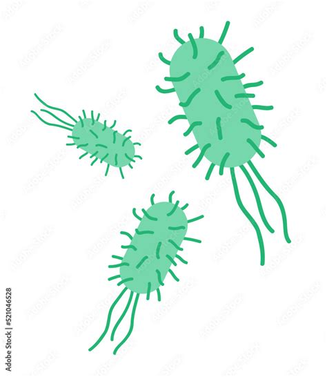 Escherichia Coli E Coli Bacteria Flat Icon Stock Vector Adobe Stock