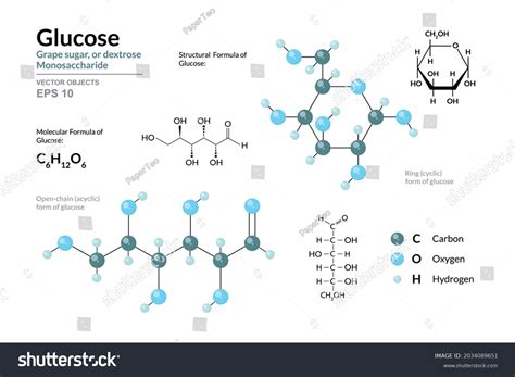 4 Nutrient Cyclic Stock Vectors And Vector Art Shutterstock