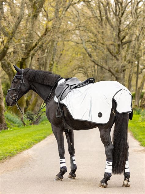 Reflective Exercise Sheet Tienda Hípica El Estribo