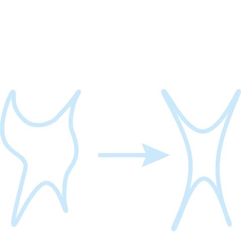 Multiphoton Microscopy A Brief Overview