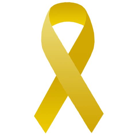 Trânsito Saiba Como Contribuir Para O Maio Amarelo Em Blumenau ~ Todo
