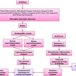 Workflow Used For Construction Of Models And Their Analysis Download Scientific Diagram