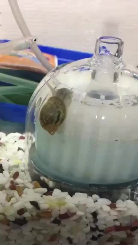 Weeeeeee Album On Imgur