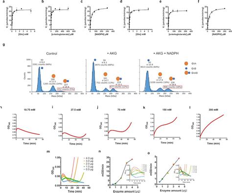 Steady State Kinetics Of Gltab And Gudb Gltab Complex A F Substrate Download Scientific