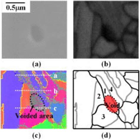 SEM And EBSD Measurement Near The Large Void With High Magnification Download Scientific