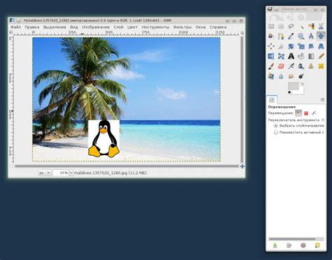 Как сделать прозрачный фон в Gimp Losst