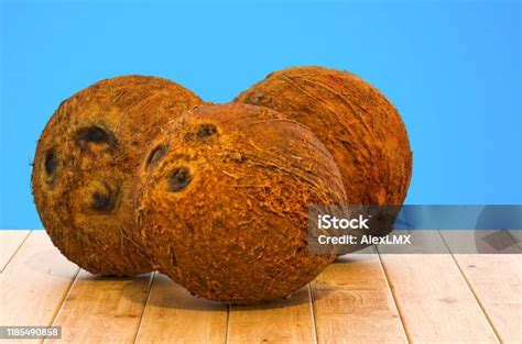 나무 테이블에 사실적인 질감과 코코넛 3d 렌더링 0명에 대한 스톡 사진 및 기타 이미지 0명 3차원 형태 개체 그룹