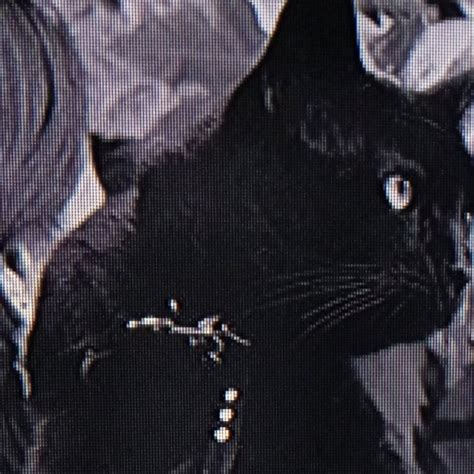 Schizoanalysis Entries Vol 12 Compilation Of Songs From Compilations