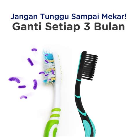 Jual Pepsodent Nanosoft Sikat Gigi Charcoal Isi 1 Shopee Indonesia