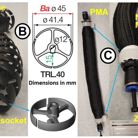 Pdf A Novel Variable Stiffness Soft Robotic Gripper