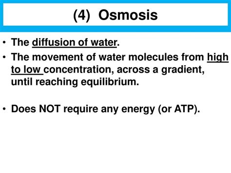 BIOLOGY Unit 2 Notes Cell Membrane Transport Ppt Download