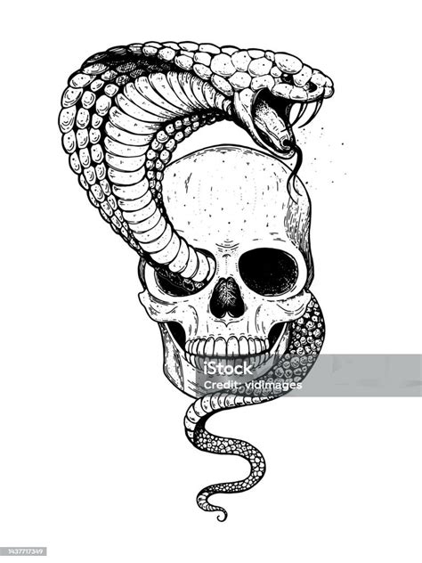 해골과 코브라 뱀 손으로 그린 그림 문신 빈티지 프린트 해골 손으로 그린 프린트 문신 디자인 T 셔츠에 대한 스톡 벡터 아트 및 기타 이미지 Istock