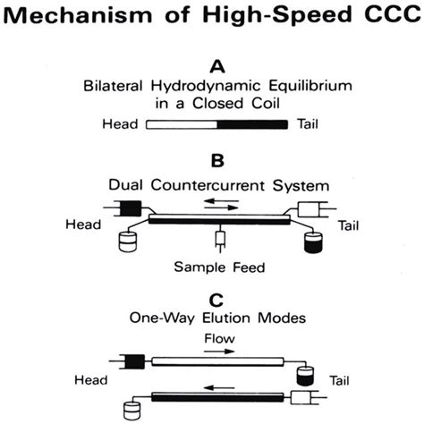 Pdf Counter Current Motion In Counter Current Chromatography