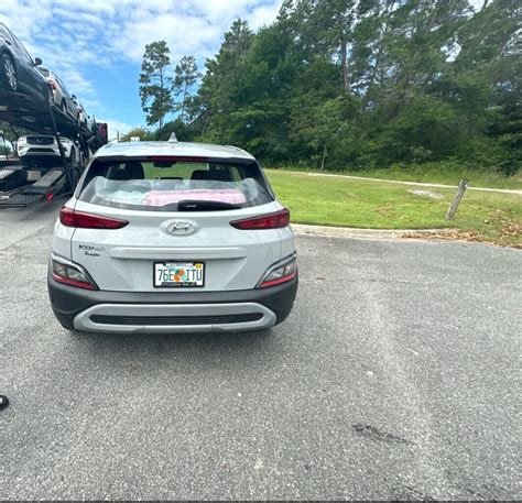 Dynamic Transportation