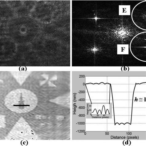 Pdf Single Shot Dual Wavelength Digital Holography Based On