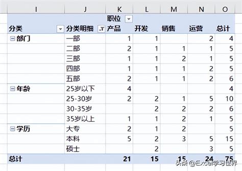 啥是excel复合数据透视表？如何制作带复合分类项的数据透视表？ 正数办公