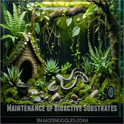 Best Substrate For Ball Pythons Top Types Tips And Avoidable Options