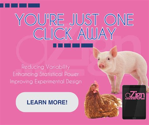 Traditional Randomization Can Look Fair — But Weight Imbalances Skew Your Animistic