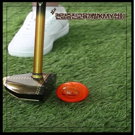 파크골프지도사 국가자격과정 총정리 노인스포츠지도사 생활스포츠지도사 유소년스포츠지도사 장애인스포츠지도사 네이버 블로그