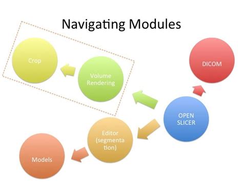 Introduction To 3d Slicer Learn The Basics And Crop Dicom Data