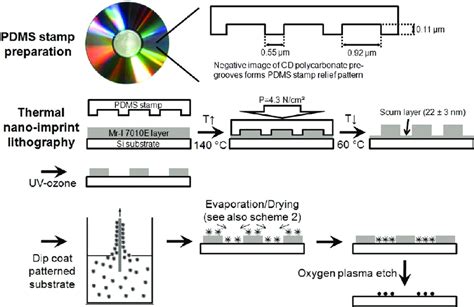 scheme 1 preparation of the patterned substrate using soft lithography