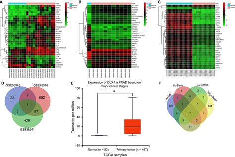 Microarray‐based Gene Expression Profiling Identifies The Involvement