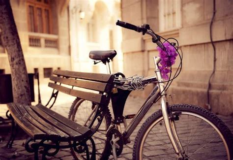 Обои велосипед скамейка улица цепь цветы город для рабочего стола