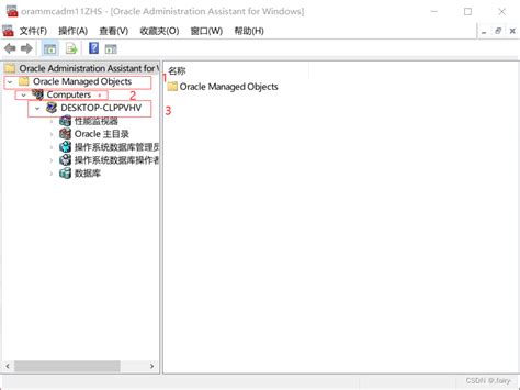 oracle： ora 01031 insufficient privileges windows 10 家庭中文版的解决方法