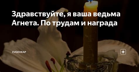 Здравствуйте, я ваша ведьма Агнета. По трудам и награда | Evgehkap | Дзен