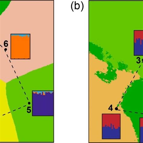 Population Genetic Structure Of An Urban A And A Forest B Download Scientific Diagram