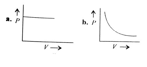 Among The Plots Of P Vs V Given Below Which One Corresponds To Babele