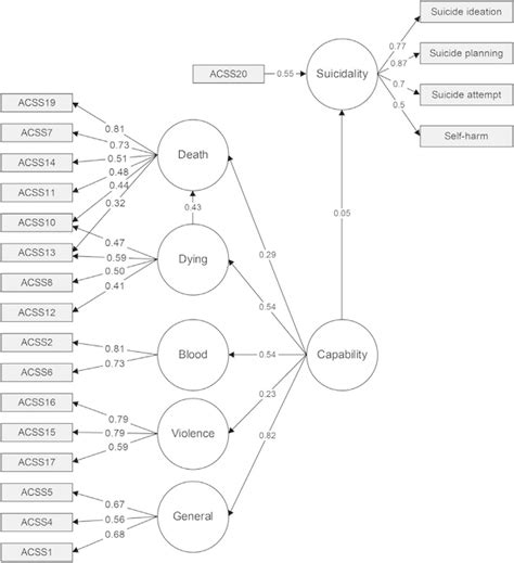 Latent Variable Model Showing The Relationship Between ACSS Factors Download Scientific