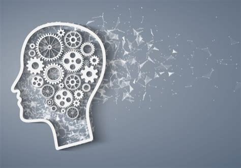 Metacognition Components And Characteristics Exploring Your Mind