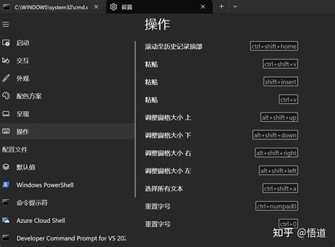 如何复制命令行输出到txt文件中 知乎