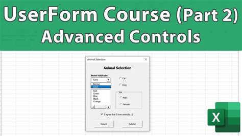 Excel Userform Course 2 Menus Lists Combobox Optionbuttons Checkbox And More Youtube