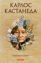 Лучшие книги Карлоса Кастанеды