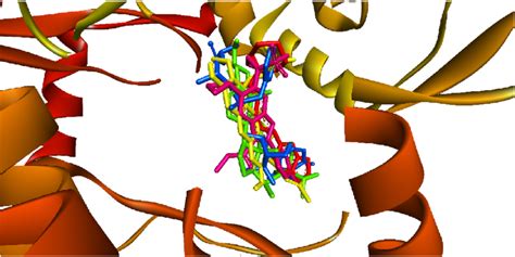 Visualization Of 3d Three Dimensional Of Molecular Docking