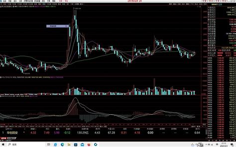 开心的周末 好久没有写长文，借这个 上证指数 突破的时机随便写写，这一周净值涨了两万，市值基本上没有动，担保比来到了207，是向好的 雪球