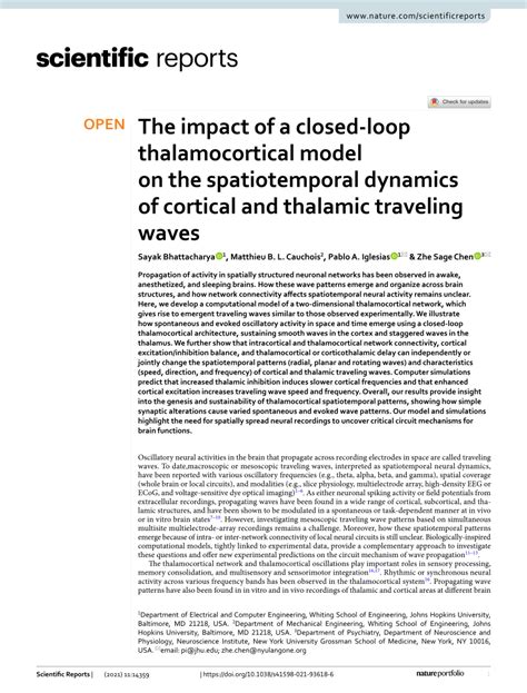 Pdf The Impact Of A Closed Loop Thalamocortical Model On The Spatiotemporal Dynamics Of
