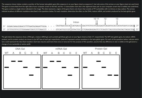Solved The Sequence Shown Below Contains A Portion Of The
