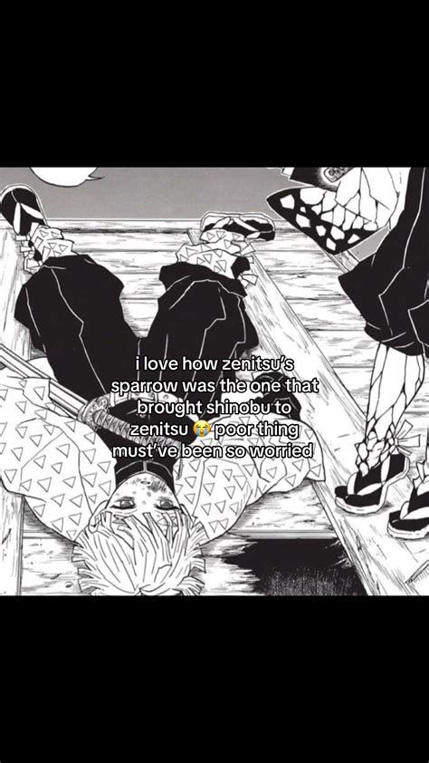 Zenitsu And Shinobus Heartwarming Connection Tiktok
