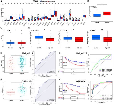 Machine Learning Constructs A T Cell Related Signature For Predicting Prognosis And Drug