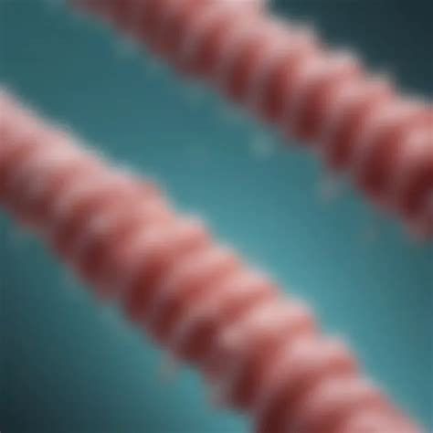 Proline And Lysine Vital Amino Acids In Biology