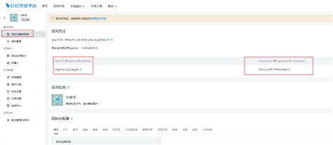 钉钉机器人stream模式实现互动对话 开发调优 linux do