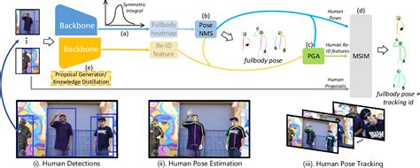 AlphaPose Whole Body Regional Multi Person Pose Estimation And Tracking In Real Time Paper And
