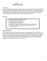 Ch Skeletal System Pdf Chapter SKELETAL SYSTEM Introduction The Skeletal System Consists