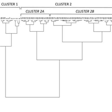 unsupervised hierarchical cluster analysis by euclidean wardd2